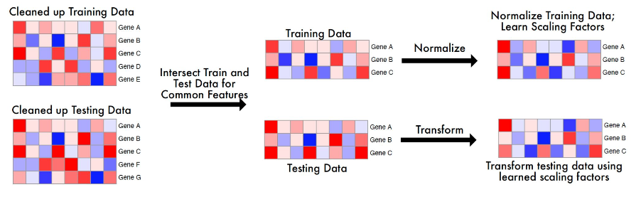 Neural Network Training – From Statistical Foundations to Machine ...